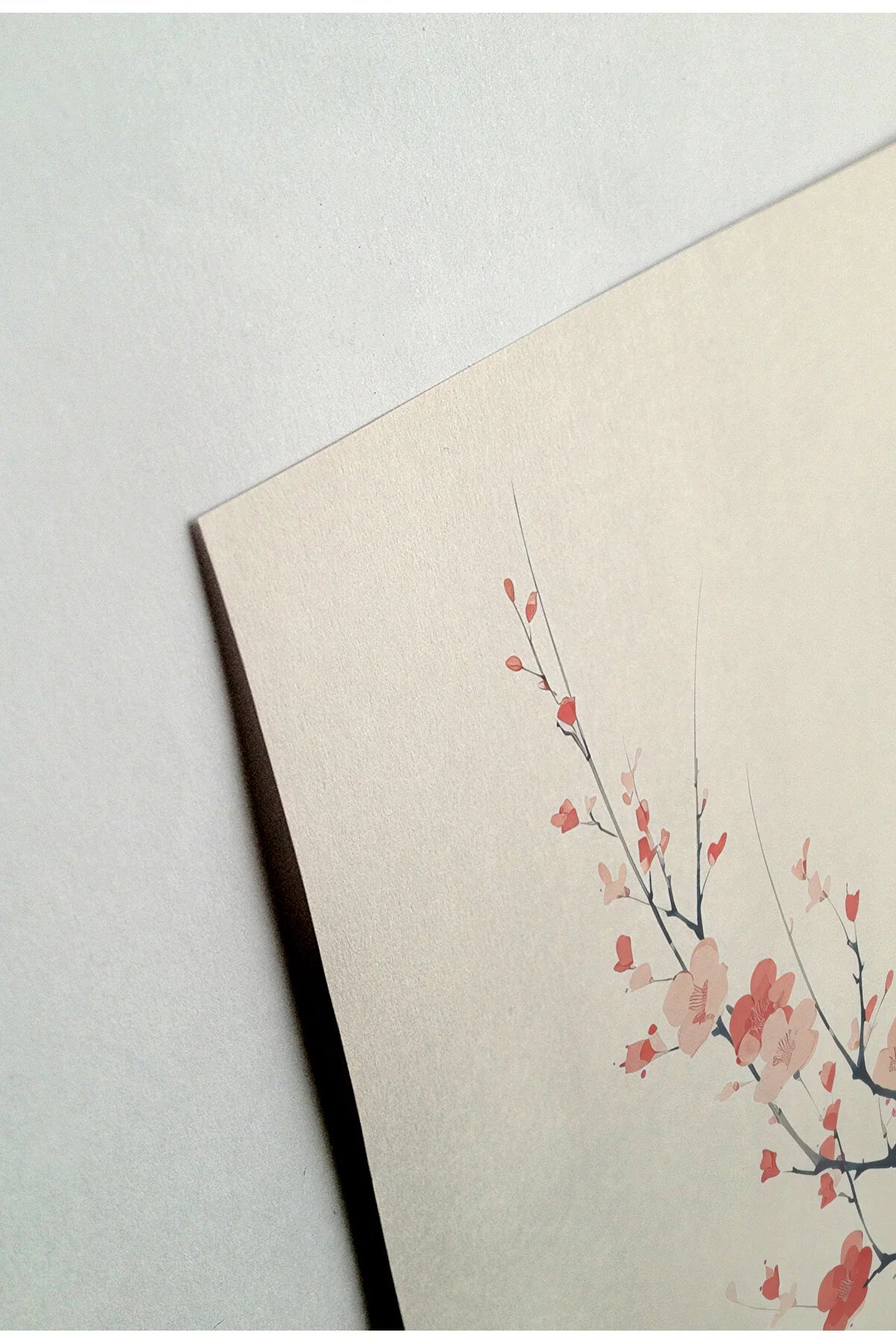 Hazakura – illustroworks