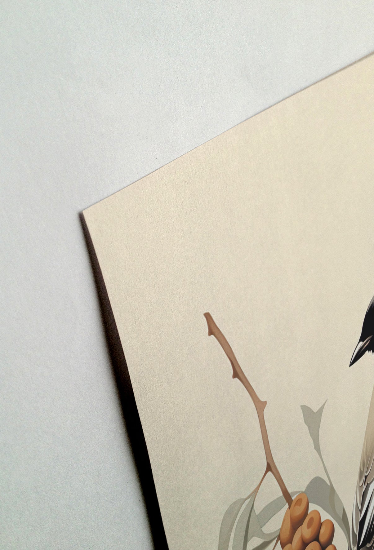 Black Tail – illustroworks