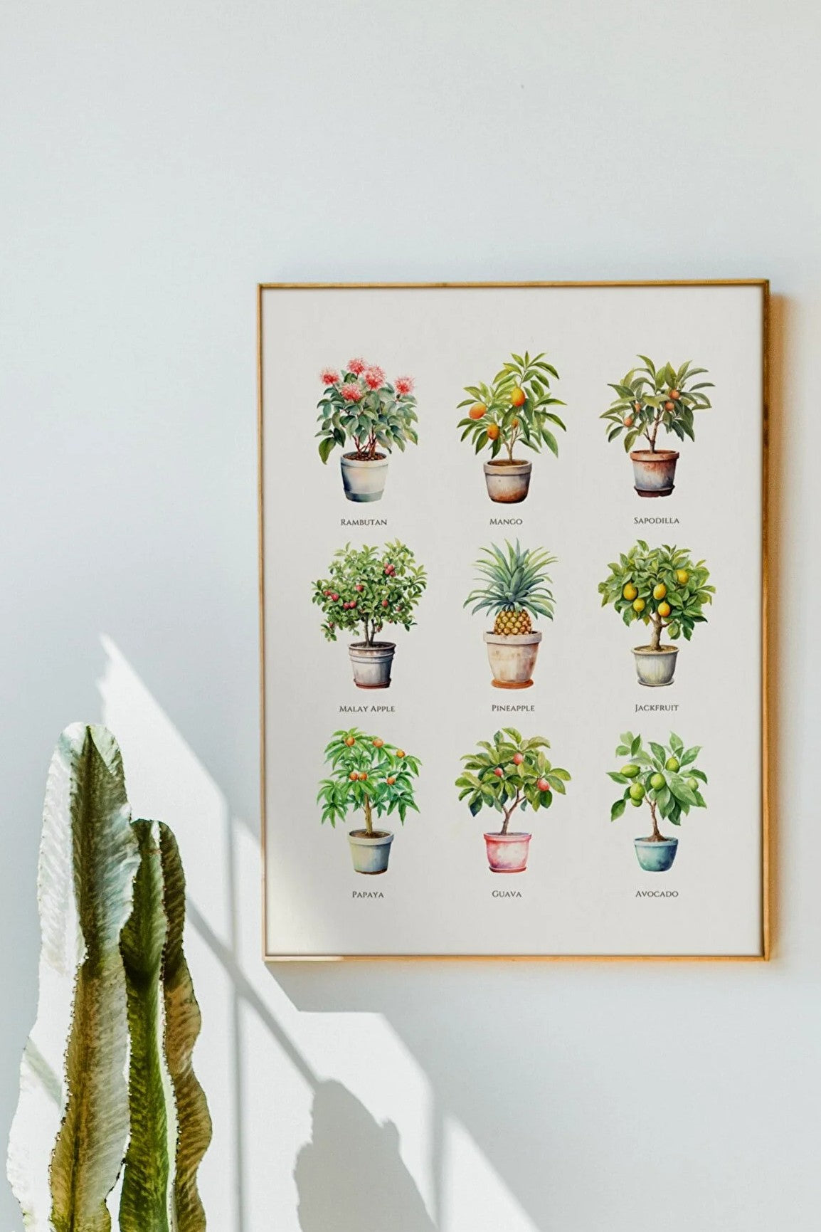 Bitkiler – illustroworks