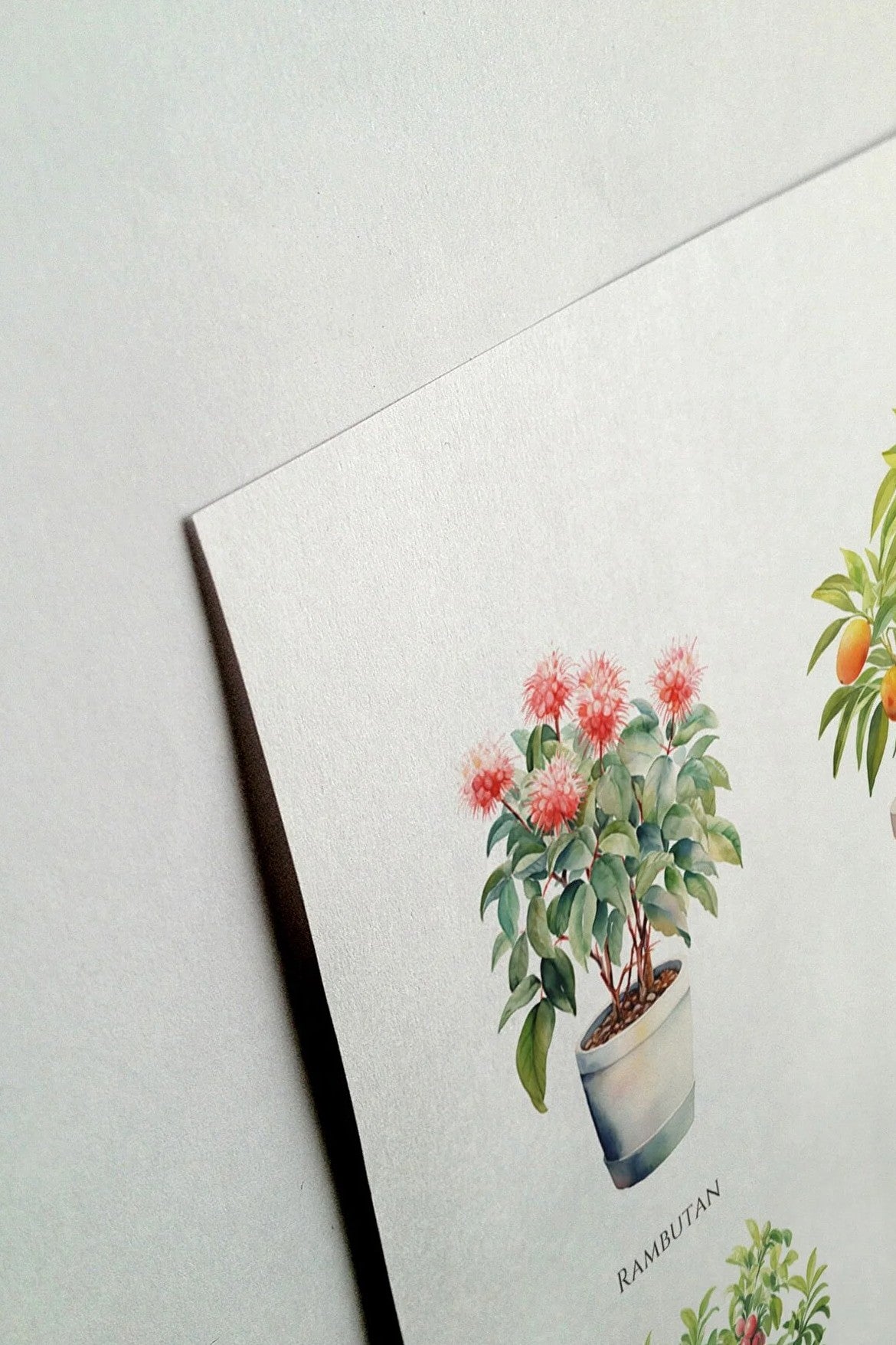 Bitkiler – illustroworks