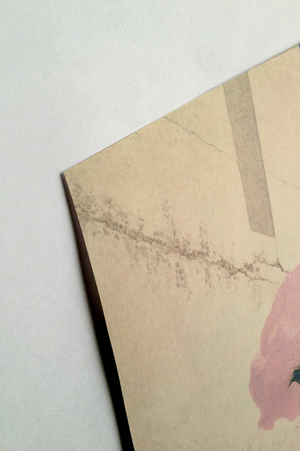 Pastel – illustroworks