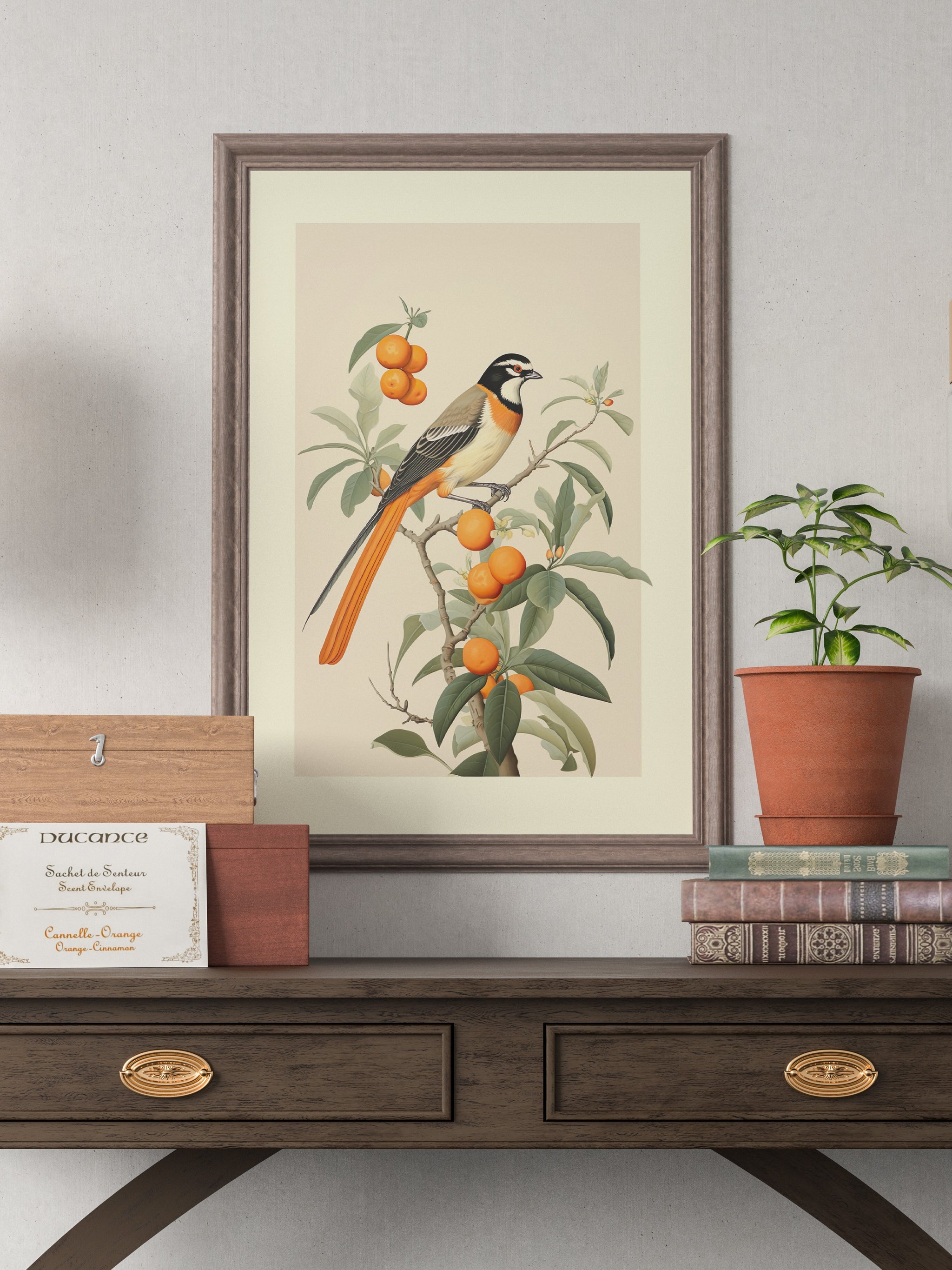 Orange Tail – illustroworks