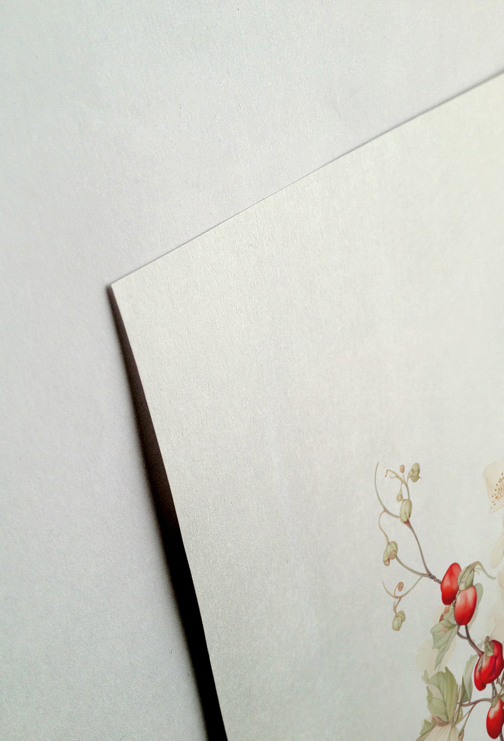 Sangri – illustroworks