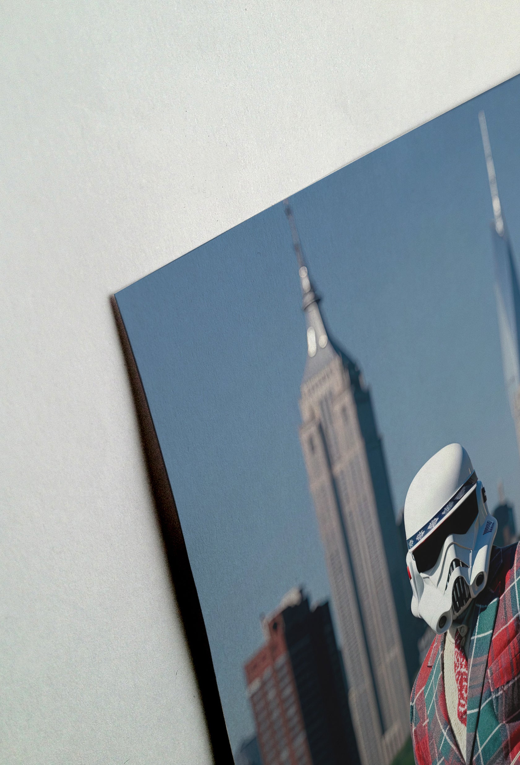 Stormy Daniels – illustroworks