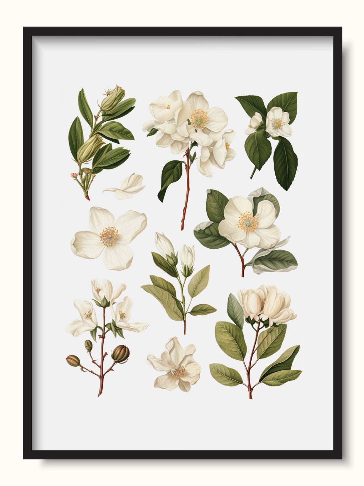 Bitkiler – illustroworks